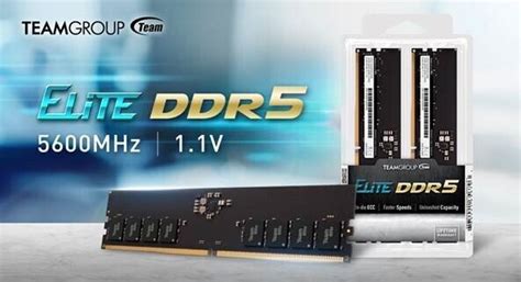 Teamgroup Announces Elite U Dimm Ddr5 Standard Memory With 5600 Mhz Speed Techpowerup