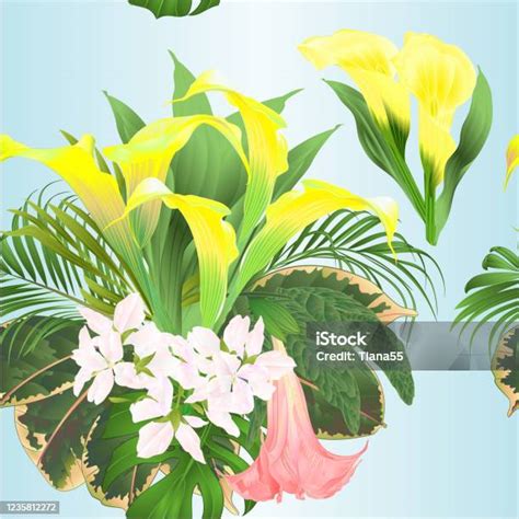 노란 백합 칼라와 브루그만시아 야자수 필로벤드론 수채화 빈티지 벡터 일러스트레이션 편집 가능한 열대 꽃 꽃꽂이와 원활한 질감 꽃다발 0명에 대한 스톡 벡터 아트 및 기타