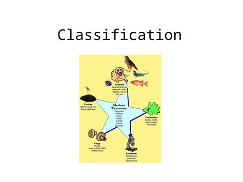 What Are Classification Schemes At Clifford Zak Blog