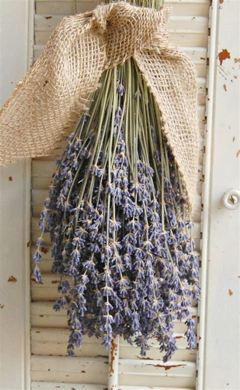 Dried Lavender Bouquet French Lavender Bunch Rustic Wedding Decor