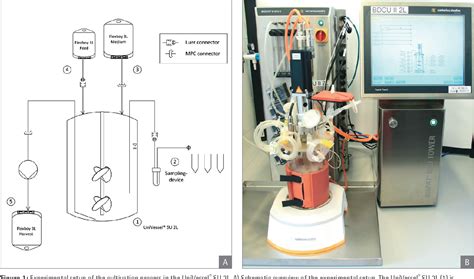 Figure 1 From Microcarrier Based Expansion Of Human Mesenchymal Stem