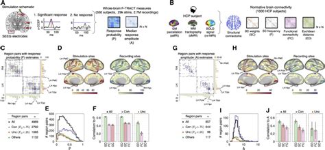 Communication Dynamics In The Human Connectome Shape The Cortex Wide