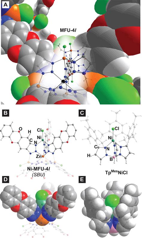 Structure Of Ni Mfu 4l And Tpmesnicl A A Representation Of The