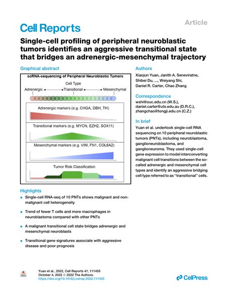 Pdf Single Cell Profiling Of Peripheral Neuroblastic Tumors Identifies An Aggressive