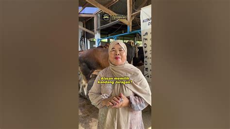 Ibu Tina Membeli 2 Ekor Sapi Jumbo Di Kandang Juragan - YouTube