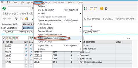 sap create maintenance table and transaction code step by step by