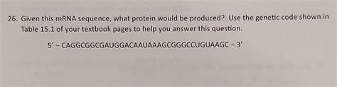 [solved] given this mrna sequence what protein would b