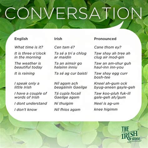 Get Ready For Your Irish Trip Learn The Irish Language Artofit