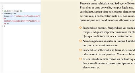 How To Replace Bullet List Point With Images In Wordpress Infotuts