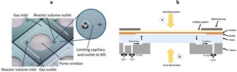 a Top view of the μ reactor interface chip on the wafer with the Download Scientific Diagram