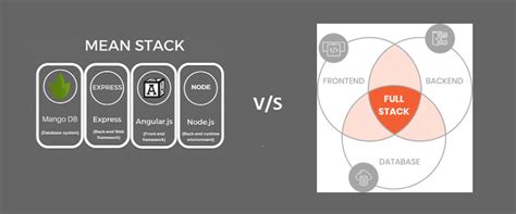 Comparing Full Stack V S MEAN Stack Approach ITreeni