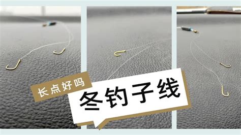 冬季野钓短子线优势明显，长子线所谓动态诱鱼之功效，无用武之地 Youtube