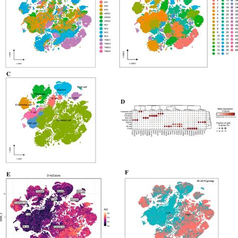 Multi Dataset T Cell Enrichment Score And Identification Of Download Scientific Diagram