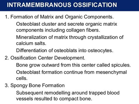 Ossification