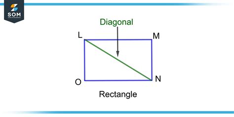 Vertices Definition And Meaning