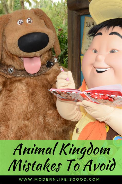 Animal Kingdom Mistakes To Avoid Modern Life Is Good Animal Kingdom