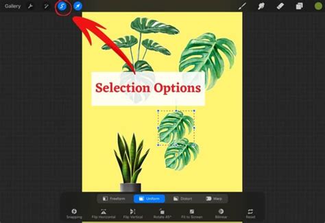 6 easy methods to copy and paste in procreate artsydee drawing