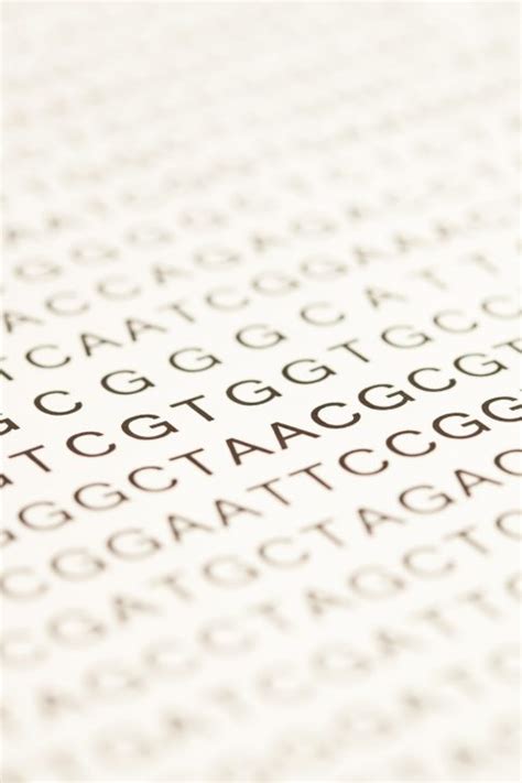 Mthfr C677t And A1298c Explained In Plain English