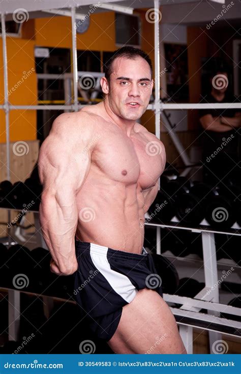 Bodybuilder Posing Stock Image Image Of Bicep Muscle 30549583