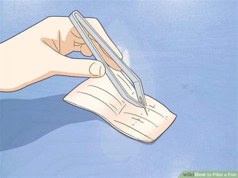 How To Fillet A Fish 13 Steps With Pictures WikiHow