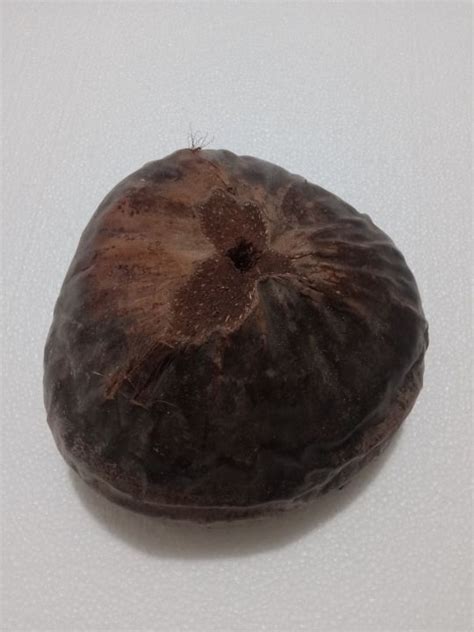 Bunot Coconut Husk Set Of 2pieces Lazada Ph