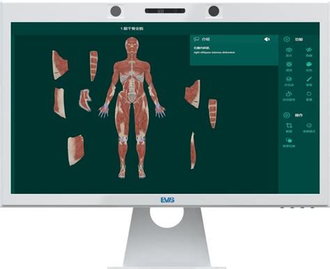 人体3d立体解剖软件 临床数字化教学利器 知乎