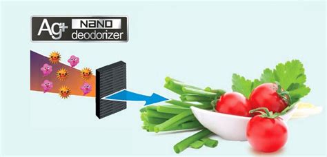 Sharp 280l 2 Door Refrigerator Fridge Sj 285mss Sj285mss Dinor