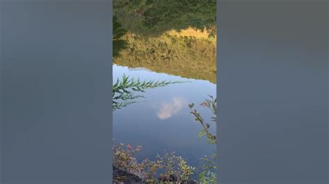 박창근 그대에게 나의 이 마음 전하고파 Youtube