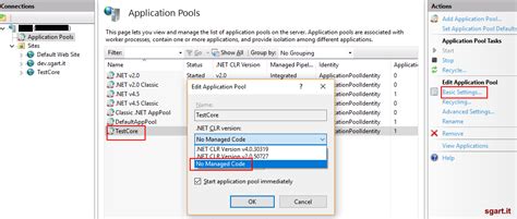 Pubblicare Un Applicazione Aspnet Core 20 Su Iis Sgartit