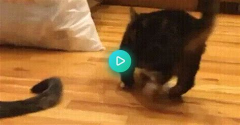 Battery 1 On Imgur Battery 1 On Imgur