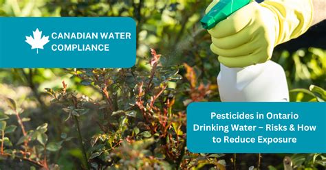 Pesticides In Ontario Drinking Water Risks And How To Reduce Exposure