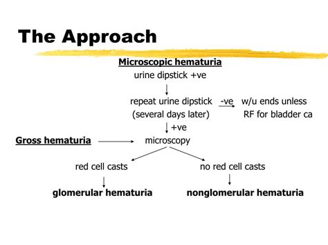 Ppt Approach To Hematuria Powerpoint Presentation Free Download Id 5591686