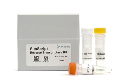4bb™ Sunscript® Reverse Transcriptase 4basebio