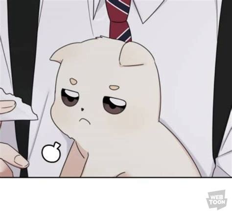 내가 푹 빠진 웹툰 추천한다😭😭😭ft귀여운 마스코트 인스티즈instiz 익명잡담 카테고리