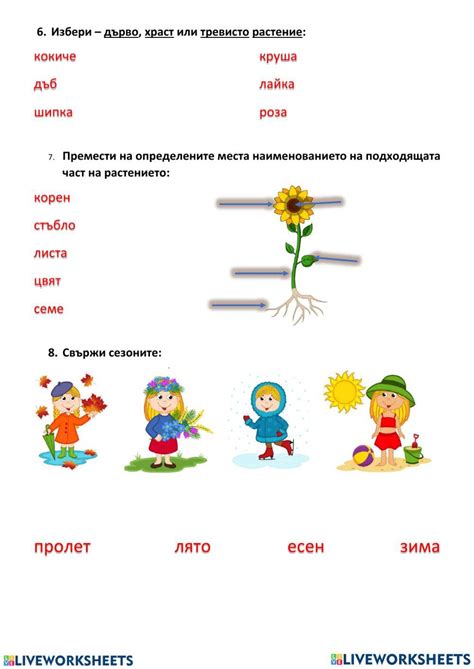 Изходно ниво Родинознание 1 клас Online Exercise For Live Worksheets
