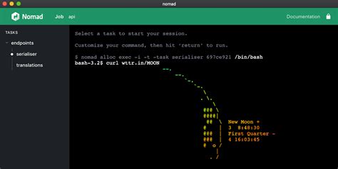 hashicorp nomad remote exec web ui