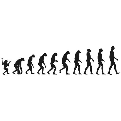 Evolution Wall Sticker Wall Evolution Wall Sticker Wall