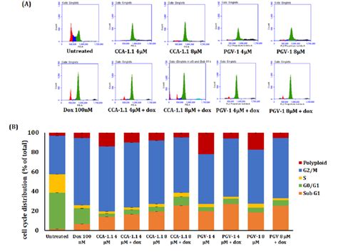 Effects Of Cca 1 1 Pgv 1 Cca 1 1 Doxorubicin Dox On The Cell Download Scientific Diagram