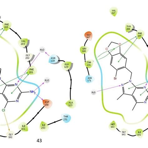 3 D And 2 D Diagram Showing Binding Interactions Of Compound 42 49