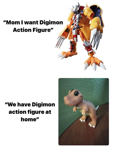 A Meme Rdigimon