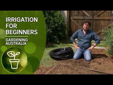 How To Build Plant Irrigation System