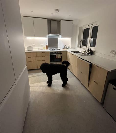 My Frojered Voxtorp Kitchen So Far R Ikea