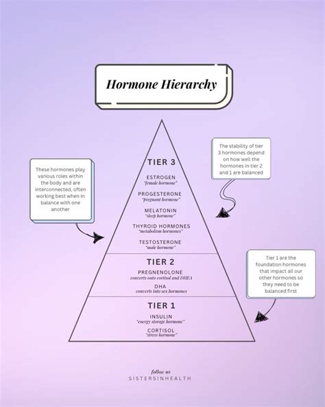 Pin On Hormon Balancing Food