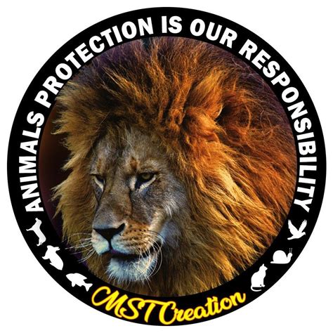 Mst Creation