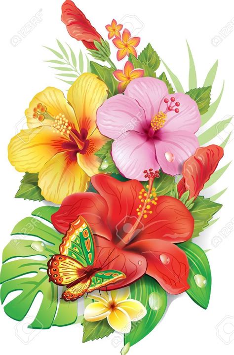 Hawaiian Flower Drawing Hibiscus Drawing Hawaiian Flowers Hibiscus