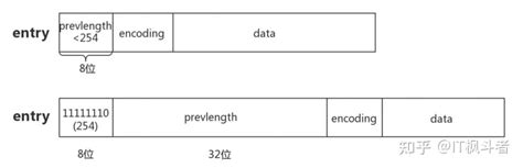 Redis的底层数据结构 List（it枫斗者） 知乎