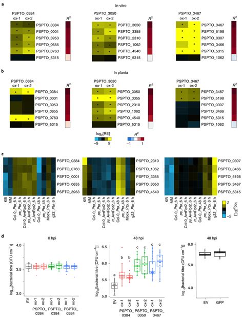 the roles of transcriptional regulators found in bacterial gene
