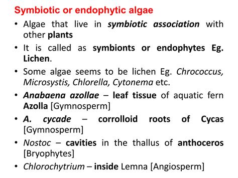 Algae Pptx