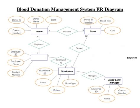 Blood Donation System Database Project Er Diagram Uml Diagra