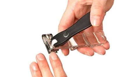 The Best Nail Clippers For YOU Moo Review